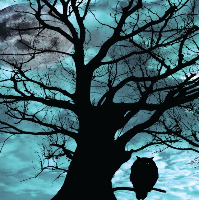 The Burning of Cairo - Rowayat