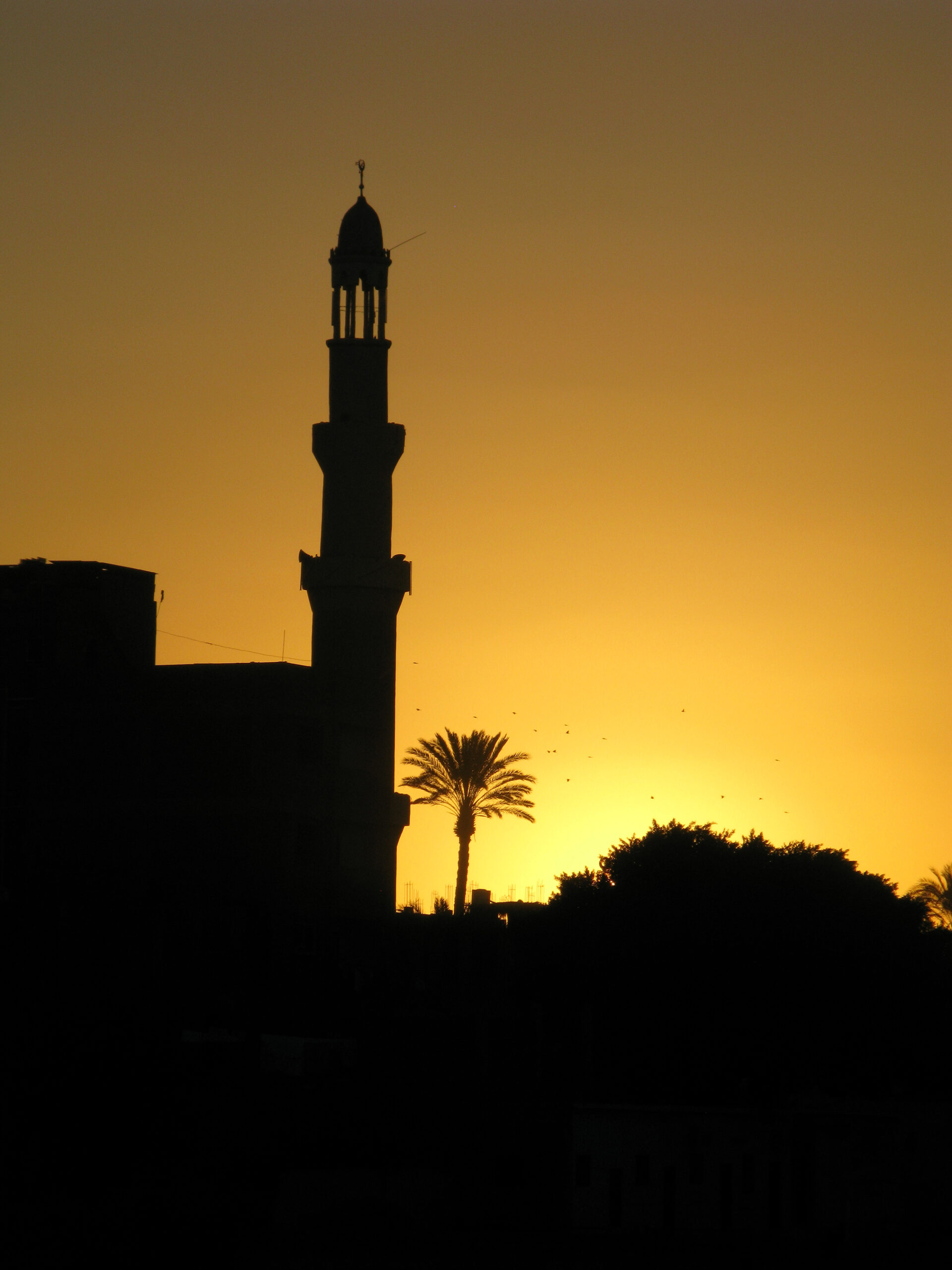 Still Praying - Rowayat