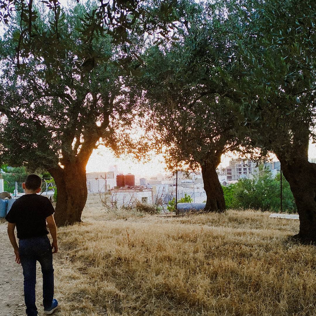 Minor, Minor Details - Rowayat