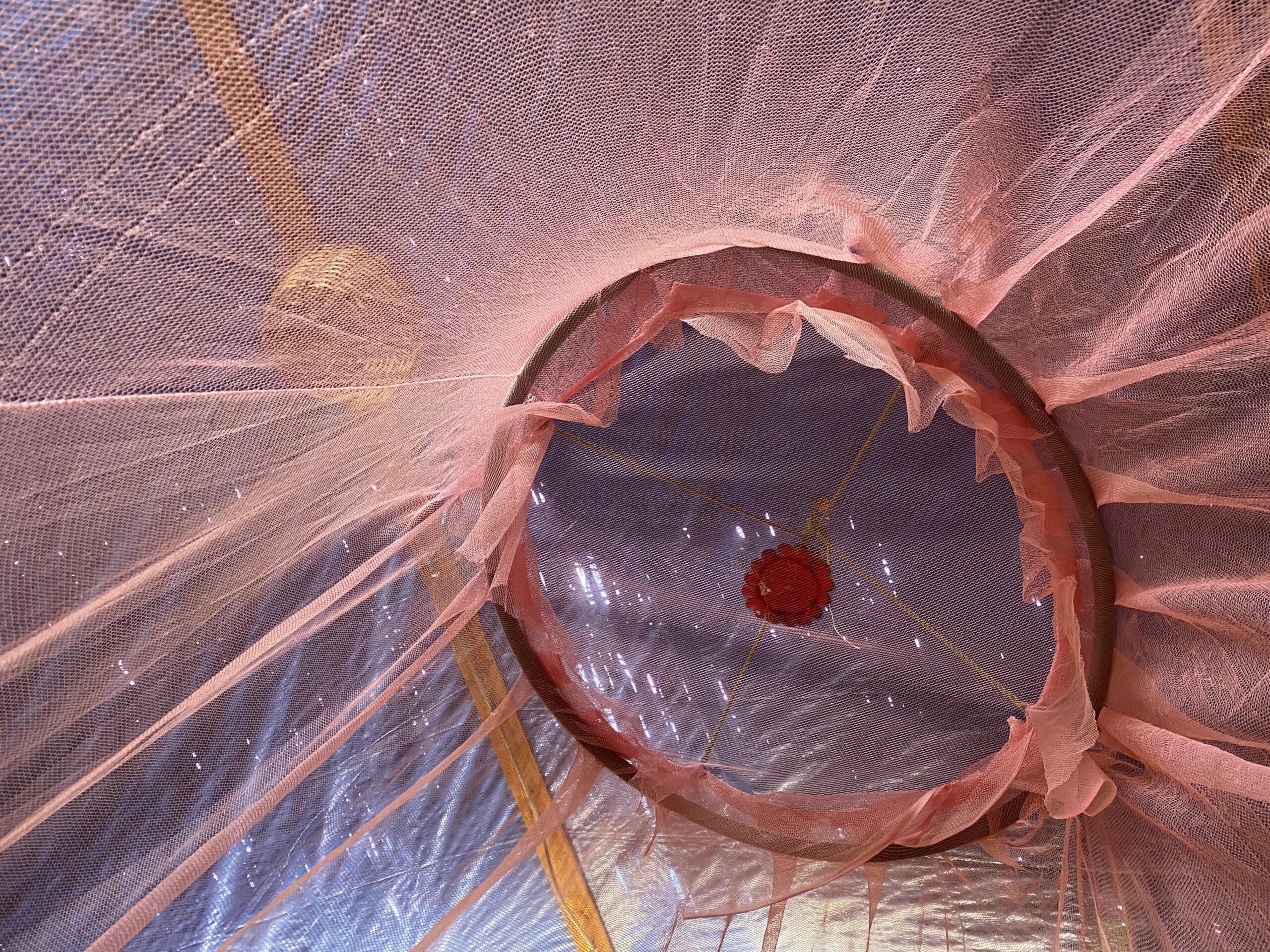 The Premonitions - Rowayat