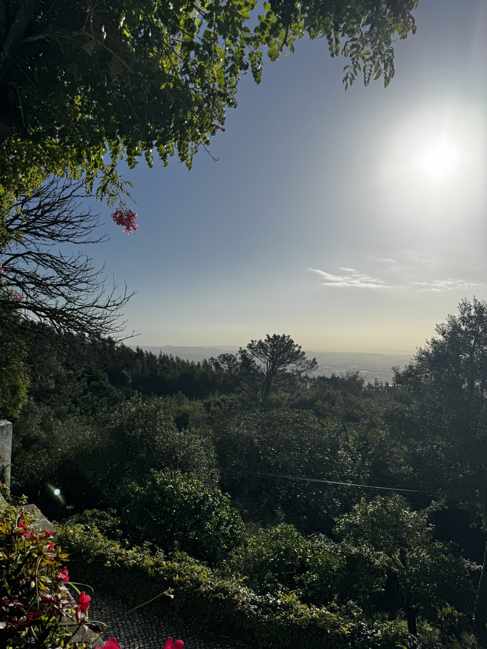 Mother Sun - Rowayat